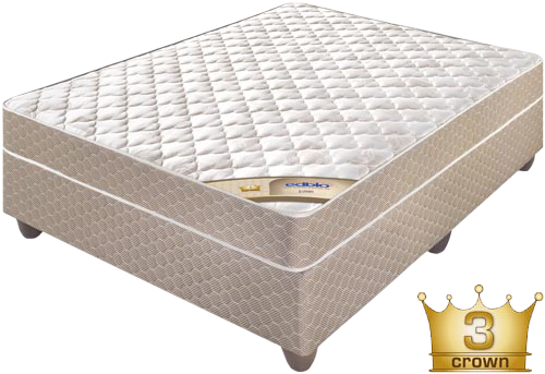 Shawless Factory Furniture