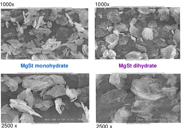 Magnesium stearate: Formulation challenges for oral solid dosage form