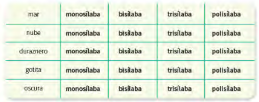 Seño Rami: Lengua - Las letras, las silabas y las palabras