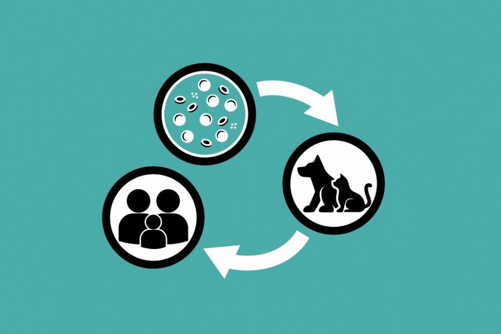 ZOONOSIS: Dos ejemplos de transmisión