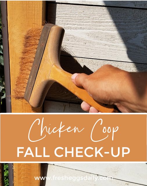 Chicken Coop Fall Check-Up - Fresh Eggs Daily® with Lisa Steele