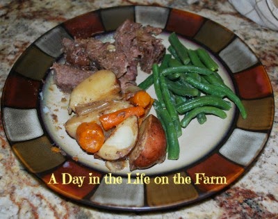 A Day in the Life on the Farm: Drats....Foiled Again!!