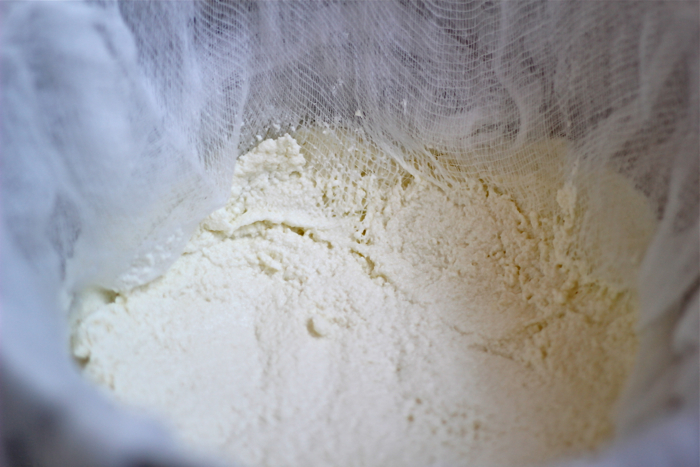 Homemade ricotta and my super-secret family recipe New York cheesecake ...