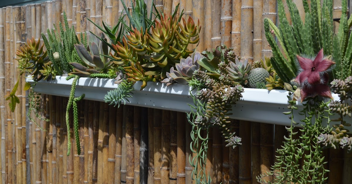 Cactus and Succulent Rain Gutter Fence Planters by Inspire Bohemia