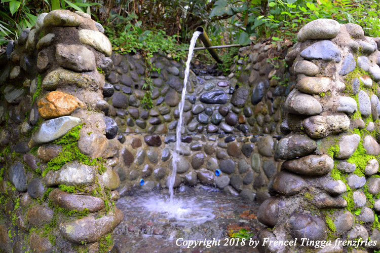 Frenz Fries: Lotus Valley Farm, San Juan La Union
