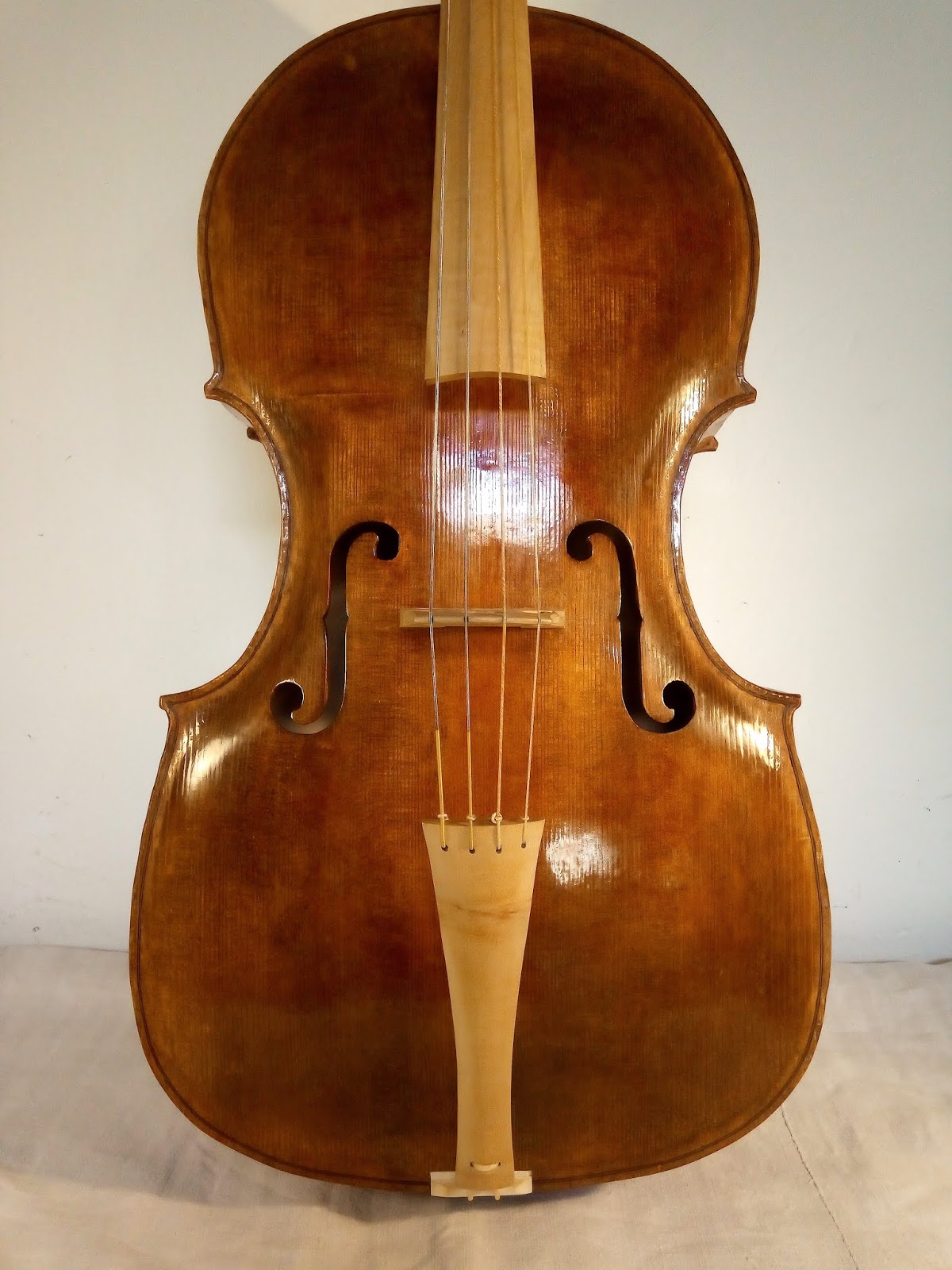 espai de luteria: Gal·leria d'Instruments