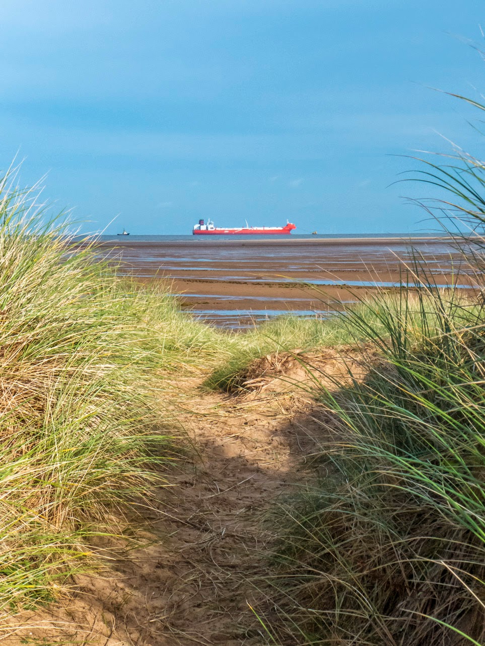 Mike's Natural Musings: Autumn at Horsehoe Point