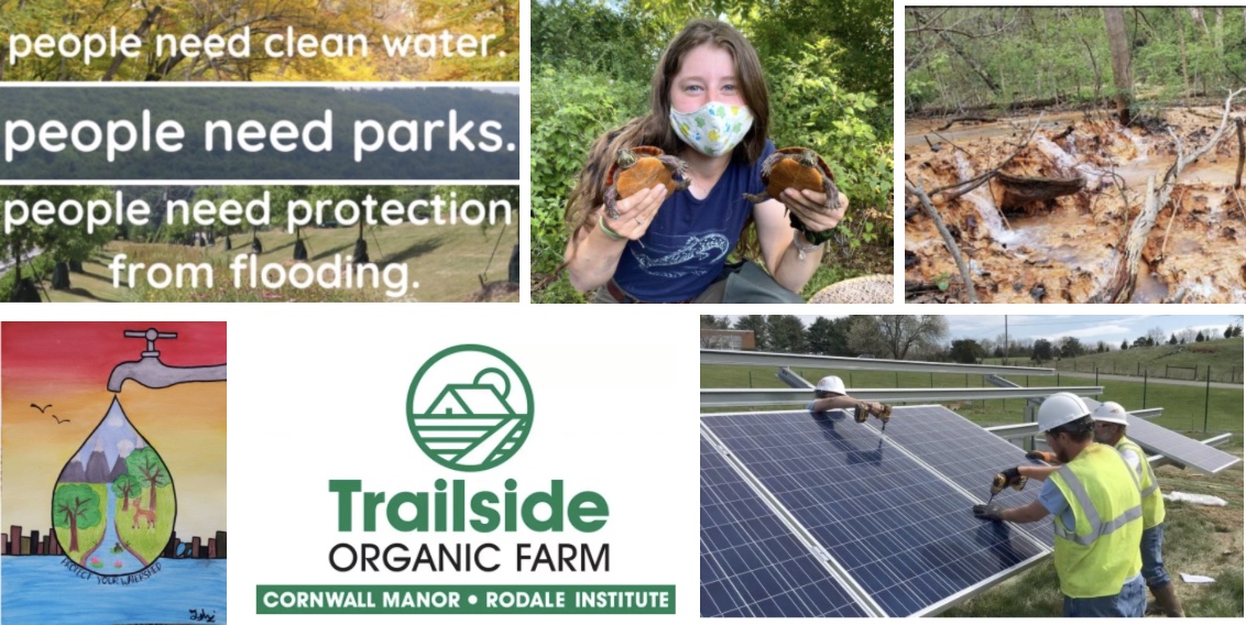 PA Environment Digest Blog: 21 New Stories - REAL Environmental ...