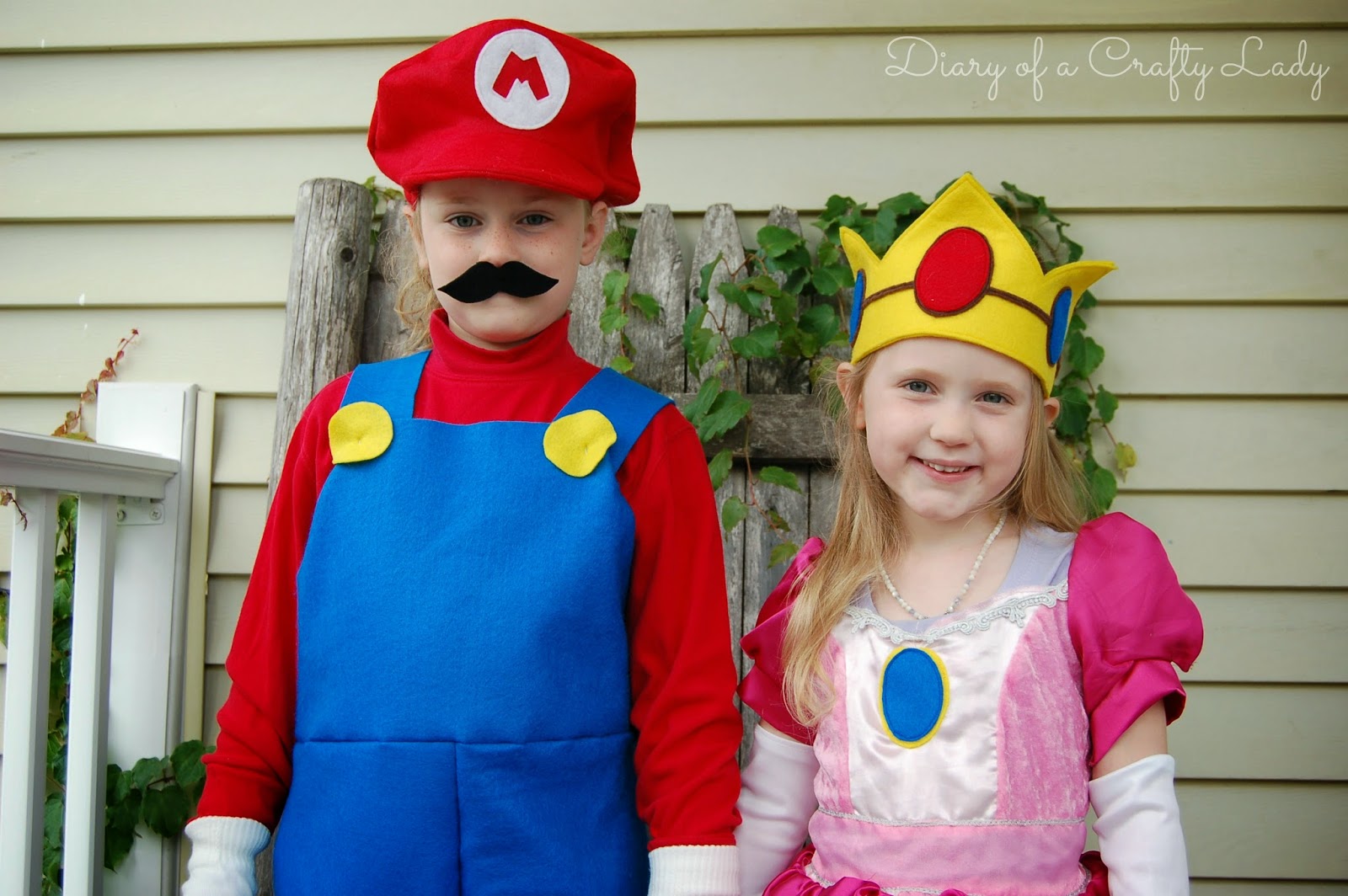 Super Mario Brothers Princess Costume