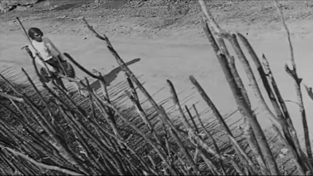 Limite (1931): Refletindo a contradição entre modernidade e passado ...