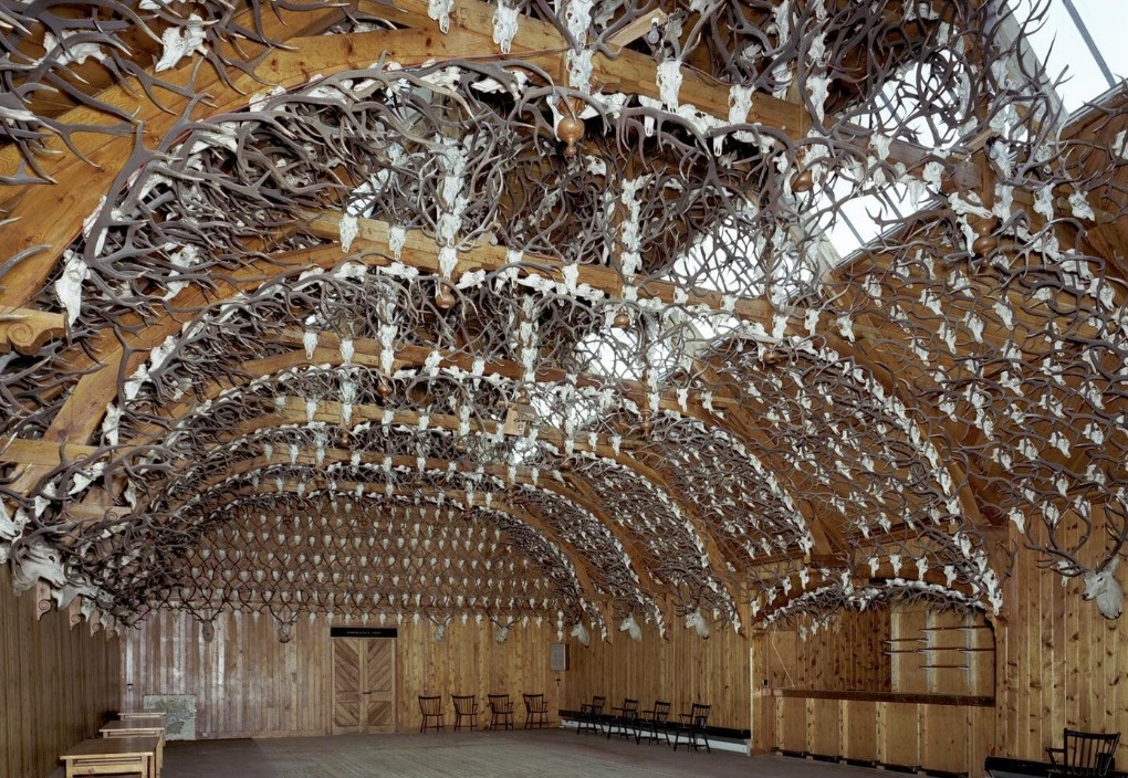 Balintore Castle Restoration Project: We're Going on a Deer Hunt