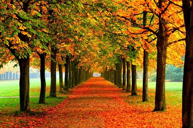 Autumn or Fall: Why does this season has two different names?