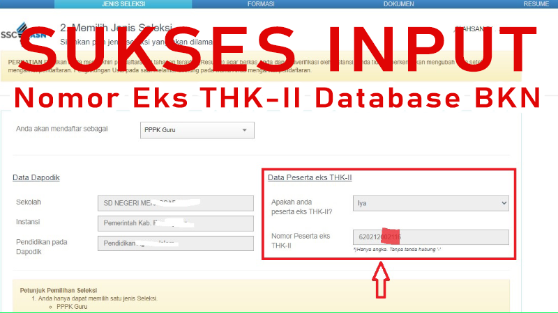 Sukses Input Nomor Data Eks THK-II Database BKN Setelah Aduan Helpdesk Dijawab - SDN SOBANG 1