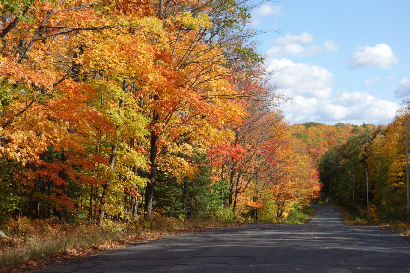Just A Car Guy: meanwhile, back in Michigan it's getting really beautiful