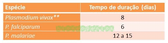 bioneogênios: Malária e Plasmodium