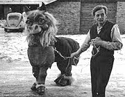 Those Old Dam Things!