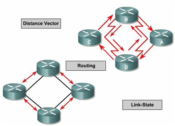 Basic Networking: Classification of Routing Protocols