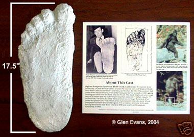 Sasquatch Tracks: Pictures of Sasquatch Tracks and Casts