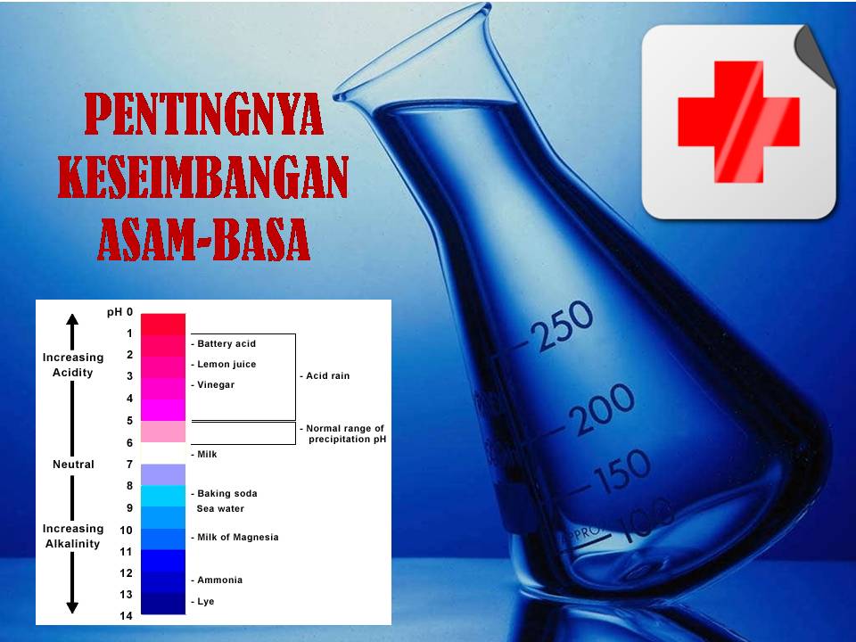 milagros: PENTINGNYA KESEIMBANGAN ASAM-BASA TUBUH