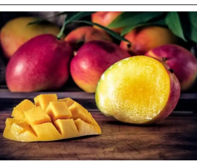 MAGIC OF MANGO