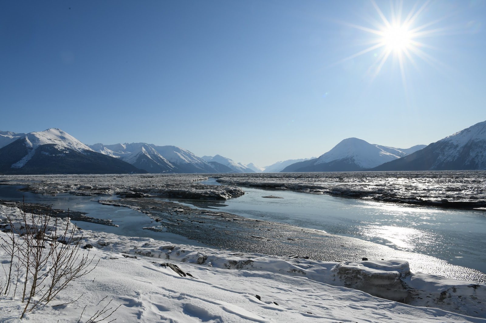 Day Seven - Turnagain Arm and Chugach National Park