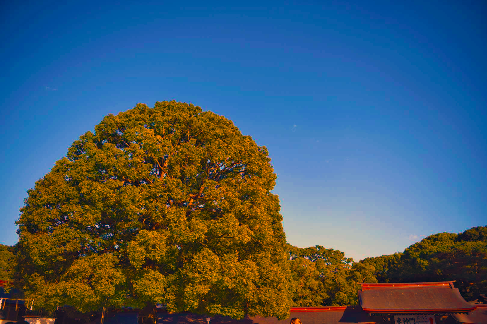 30 Travel landscape Photograph skills，come to see our tips - HiArt