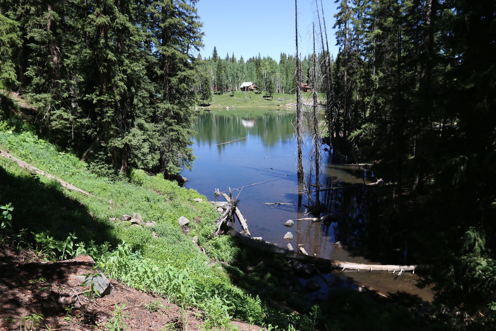 gjhikes.com: Glacier Springs Cutoff