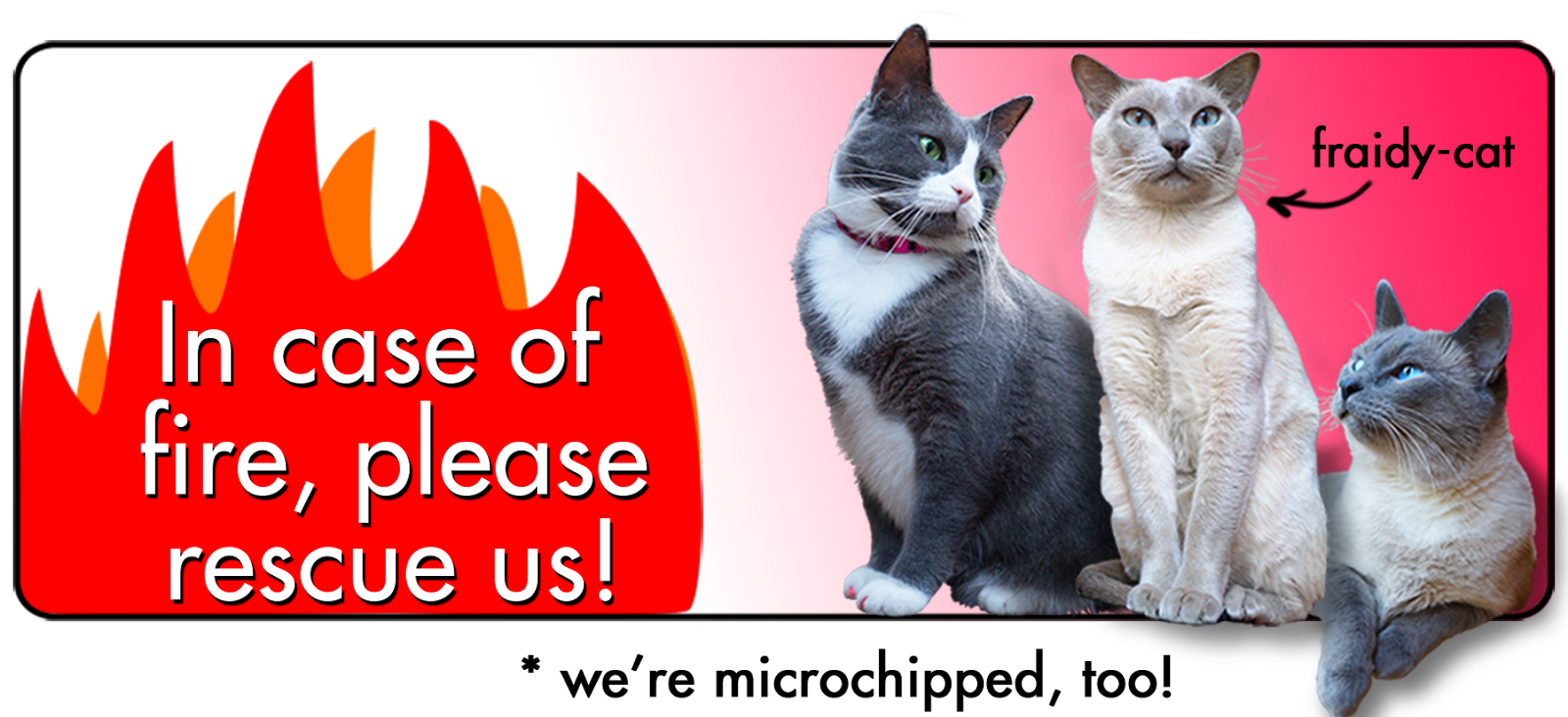 A Tonk's Tail... err, Tale...: Be the Change: Pet Fire Safety