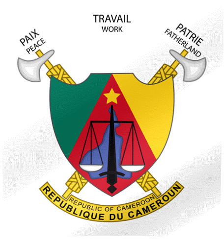 Flag of Cameroon (GIF) - All Waving Flags