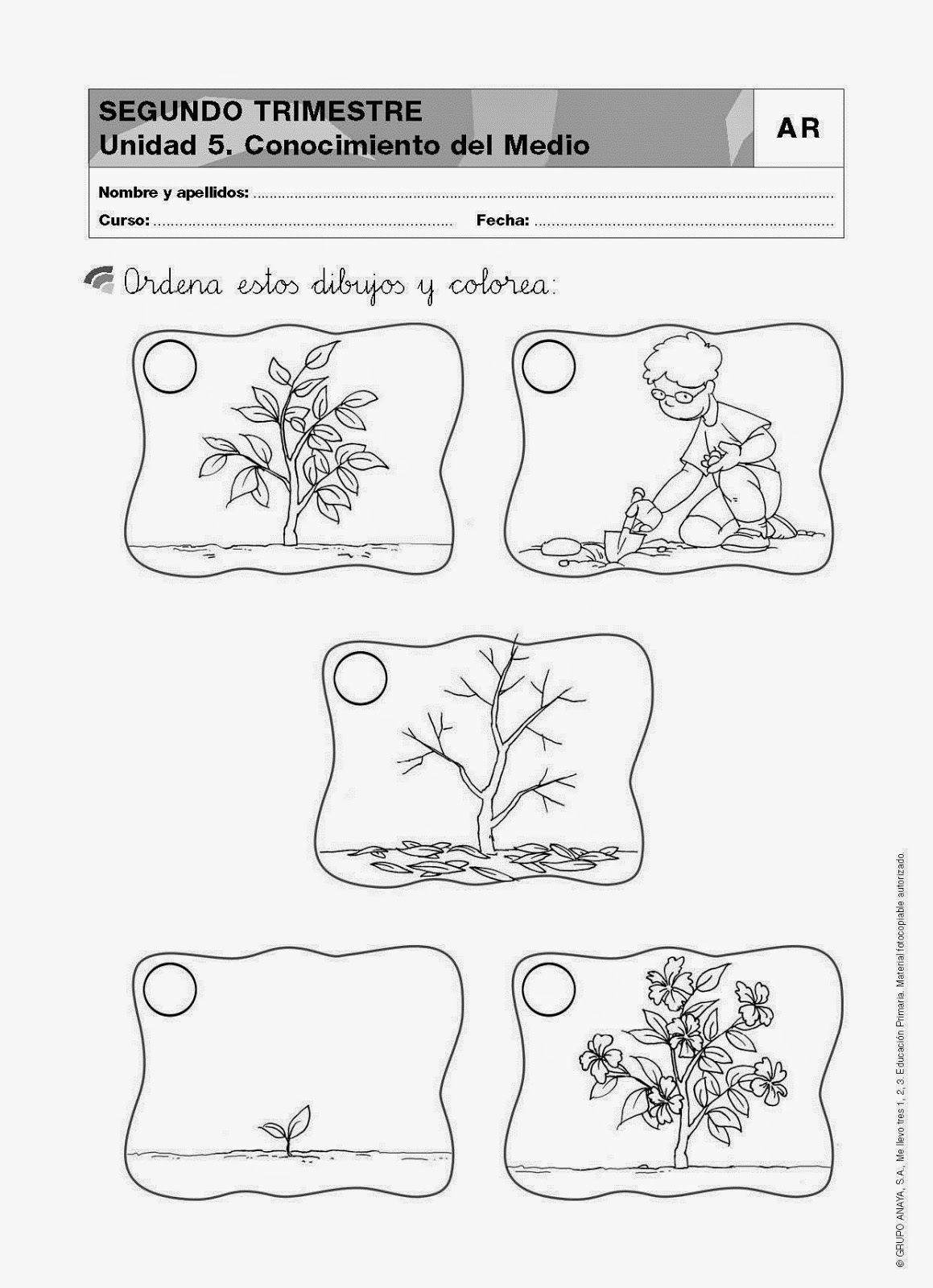 Chiquitines aprendiendo: La Reproducción de los seres vivos