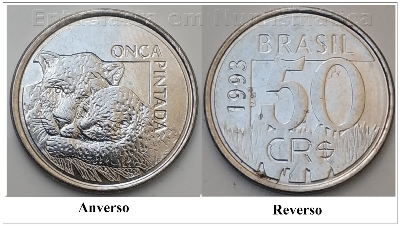Entusiasta em Numismática: Moedas do Plano Monetário Cruzeiro Real CR ...