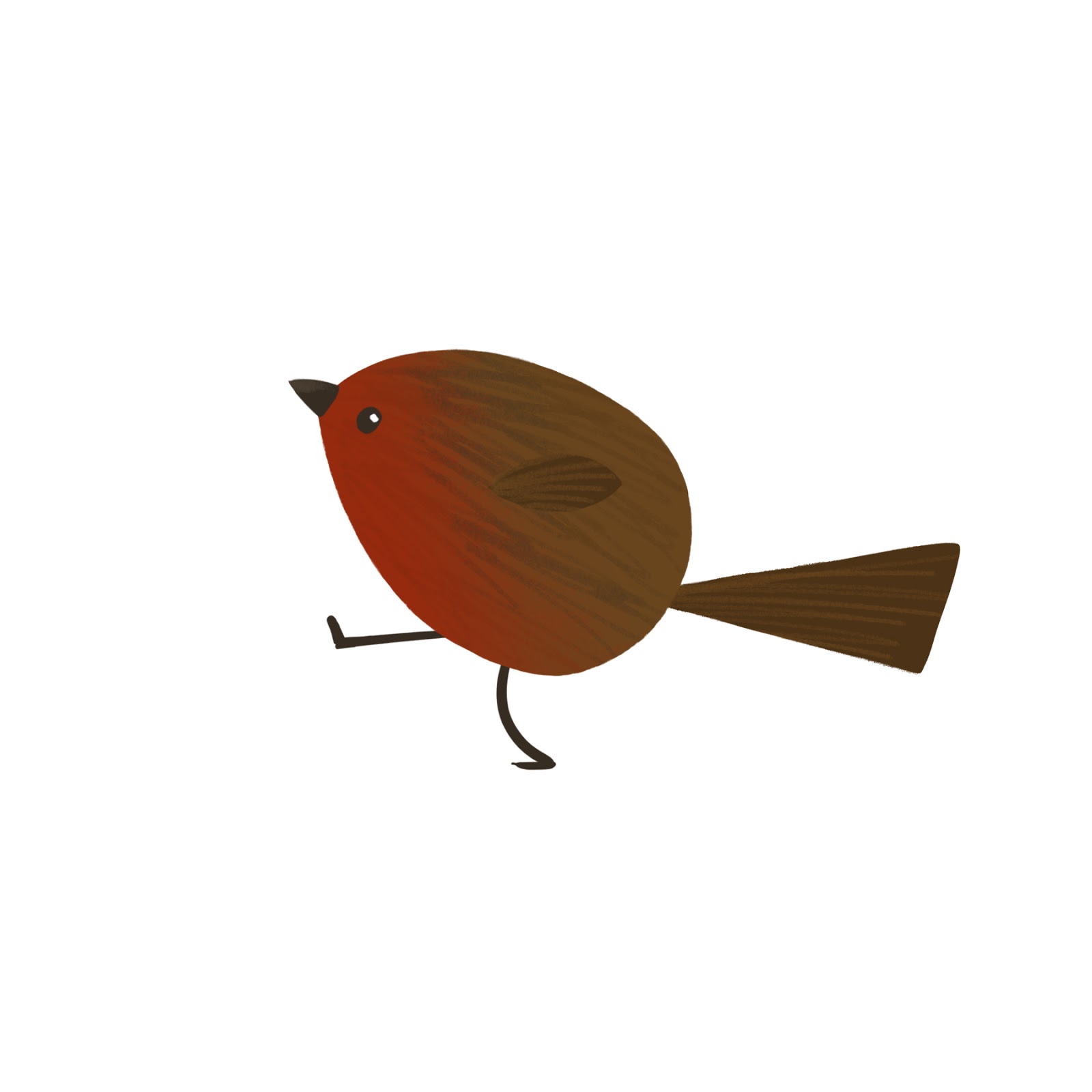 Robin - Turnaround and Action Poses