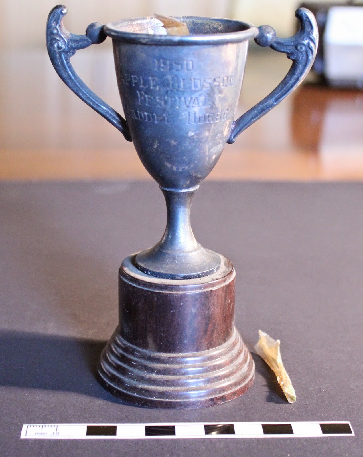 Kelly's Conservation Corner: April 2014