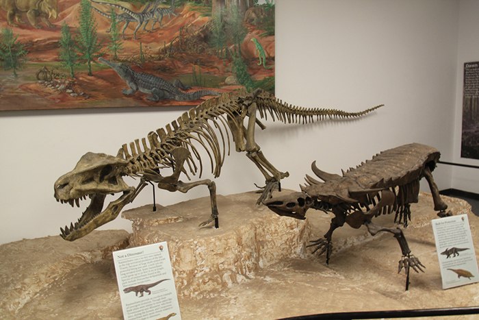 Mundo Pré-Histórico: Postosuchus, o predador do Triássico