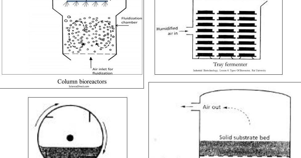 Dhanus Micro Notes: Solid-substrate Fermentation or Solid State ...