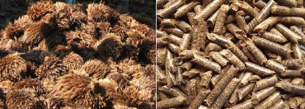 Biomass Industrial Innovative Projects: EFB Pellet is Difficult ...