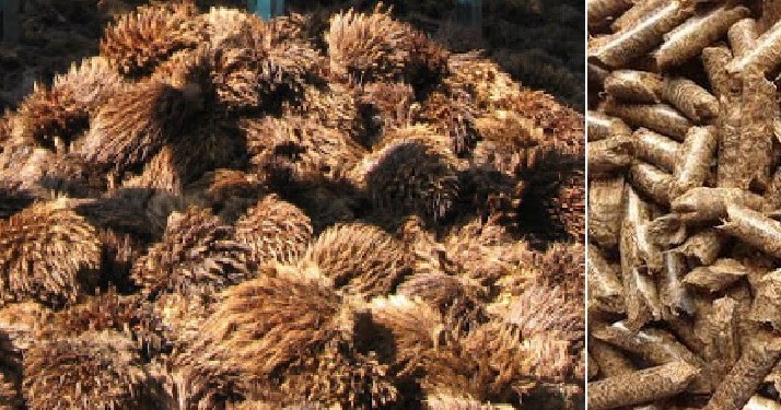 Biomass Industrial Innovative Projects: EFB Pellet is Difficult ...