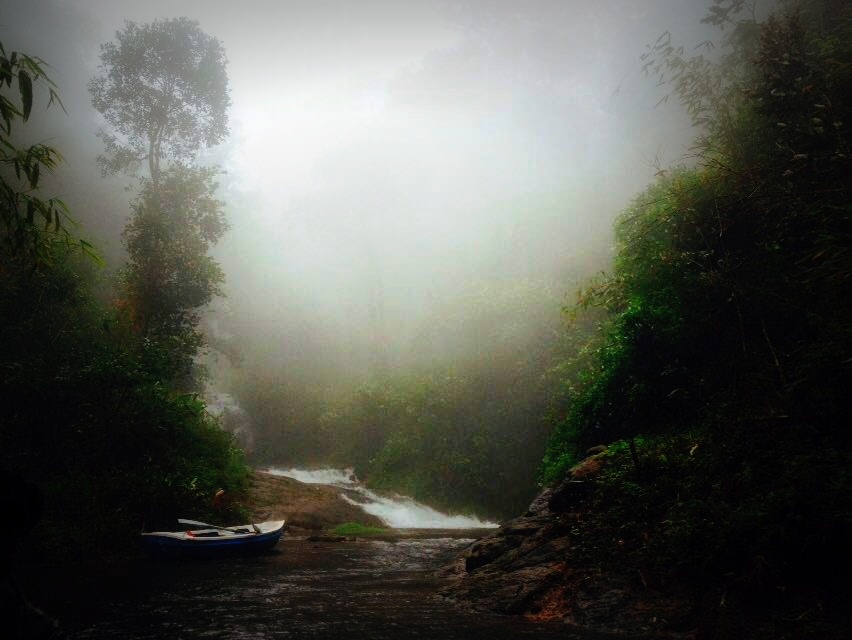 Travel Memoirs: Gavi - A Mystery in the Wild