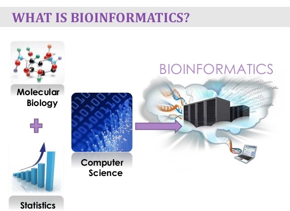 Rx Dauntless Students: Bioinformatics Assignment: The Bioinformatics ...
