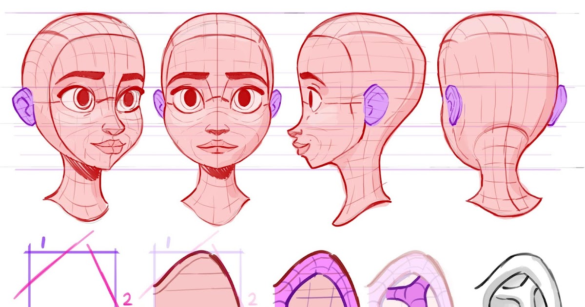 Learning drawing principles: ears