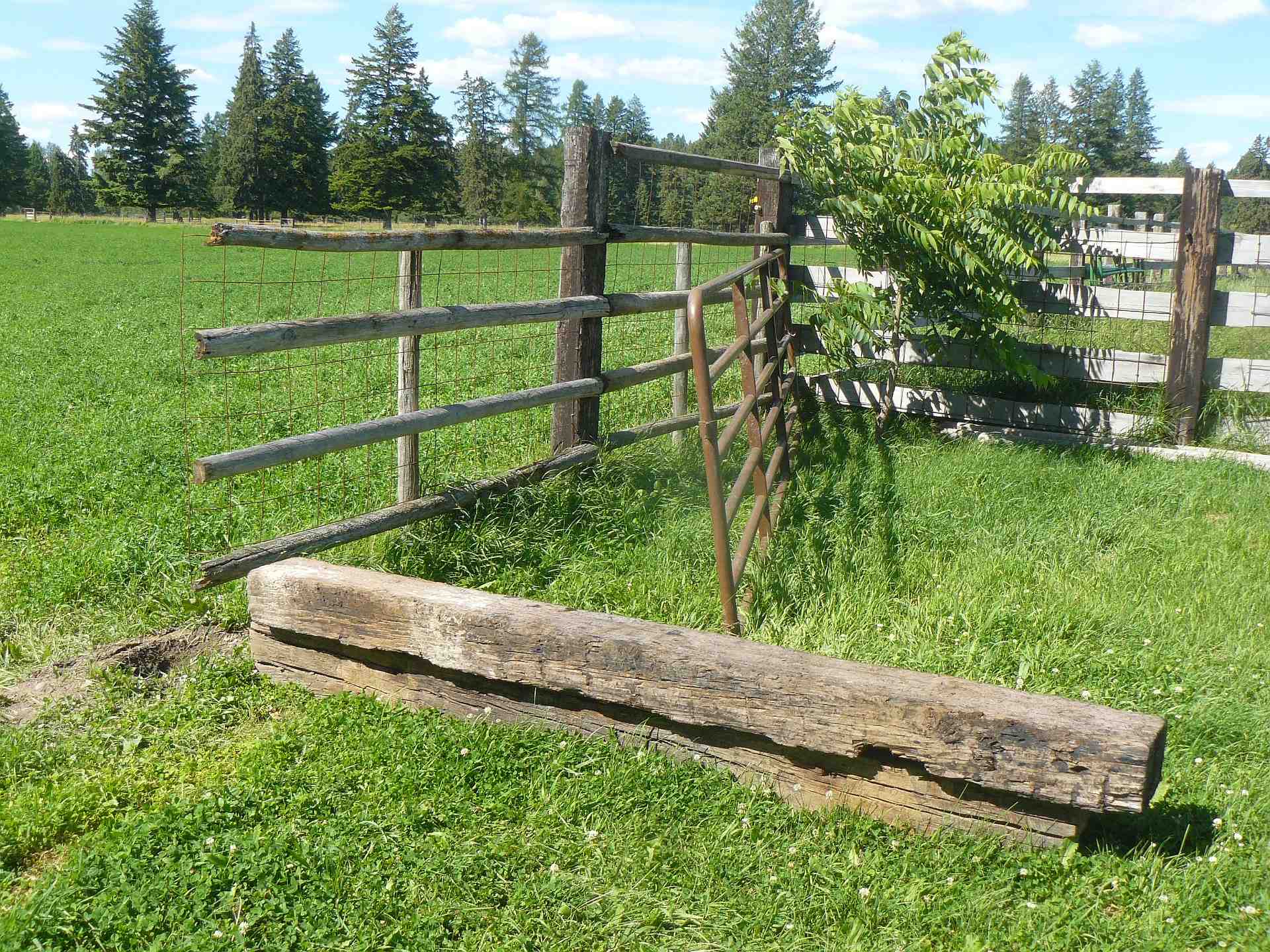 Life among the Tall Pines: Partial backyard fence rebuild