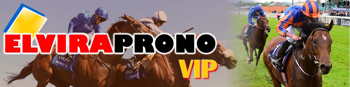 ELVIRAPRONO VIP