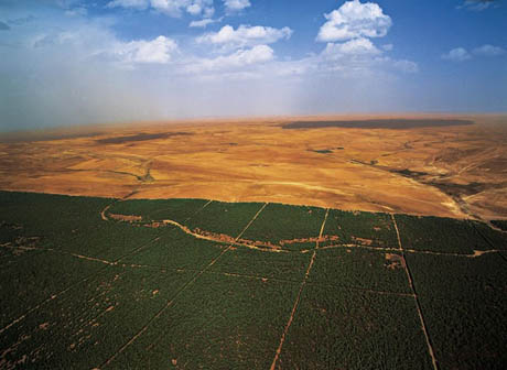 sevenby3: sahara forest project moves from concept to reality