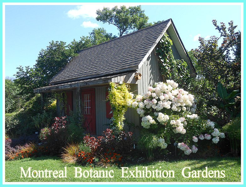 My Virtual Garden: Montreal Botanic Gardens 2019 b