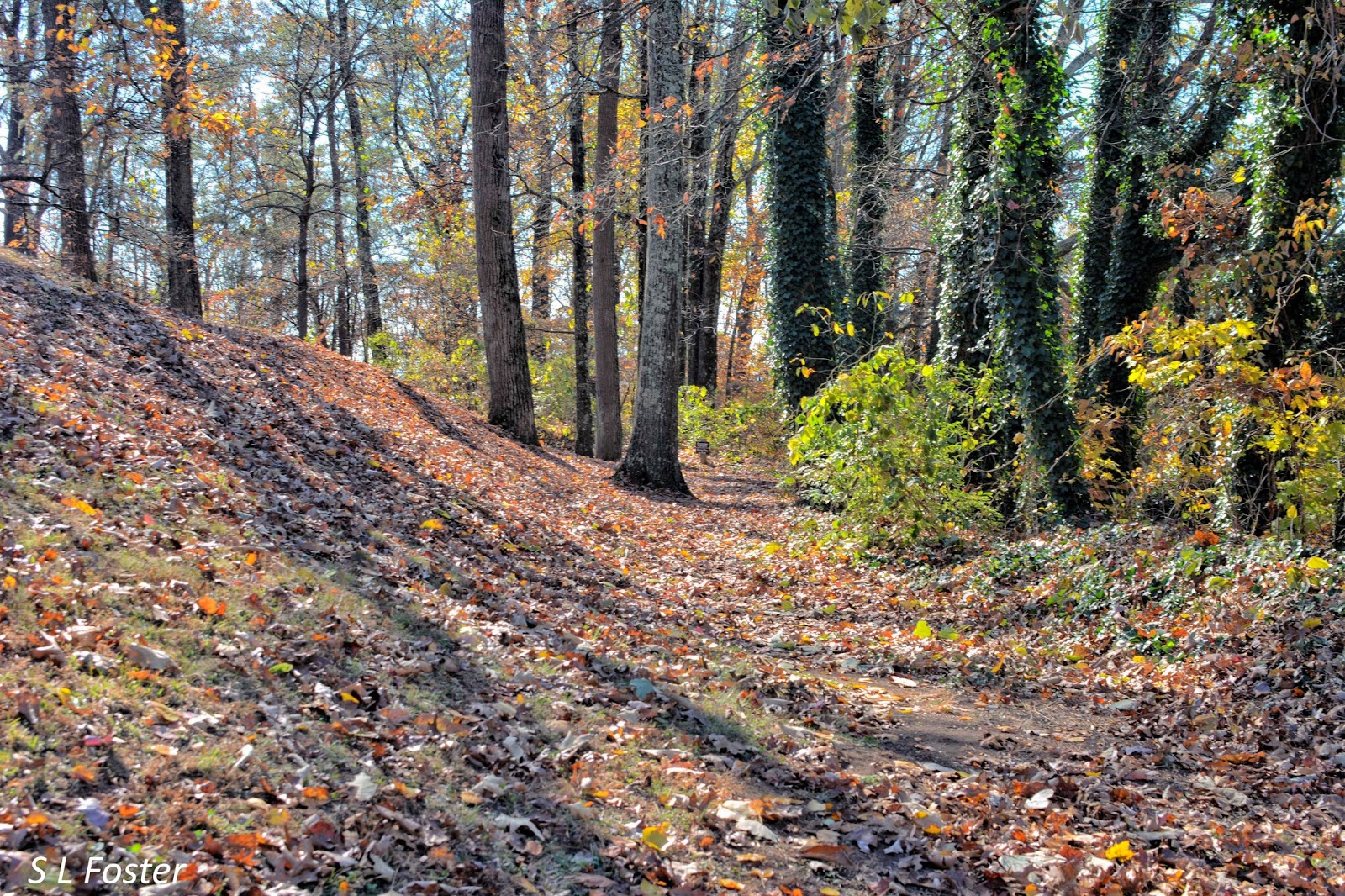 Historic Destinations in Tennessee: Fort Dickerson, Knoxville, TN