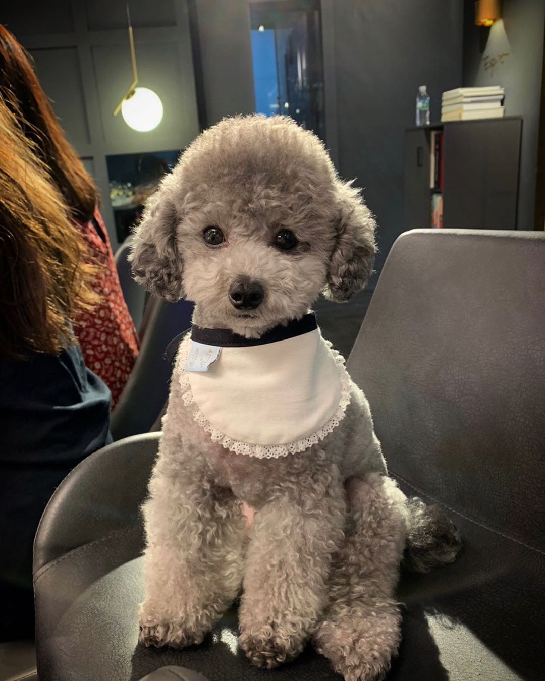 SNSD Sooyoung is in love with Zero! - Wonderful Generation