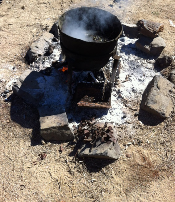 prophet of bloom: May 2012