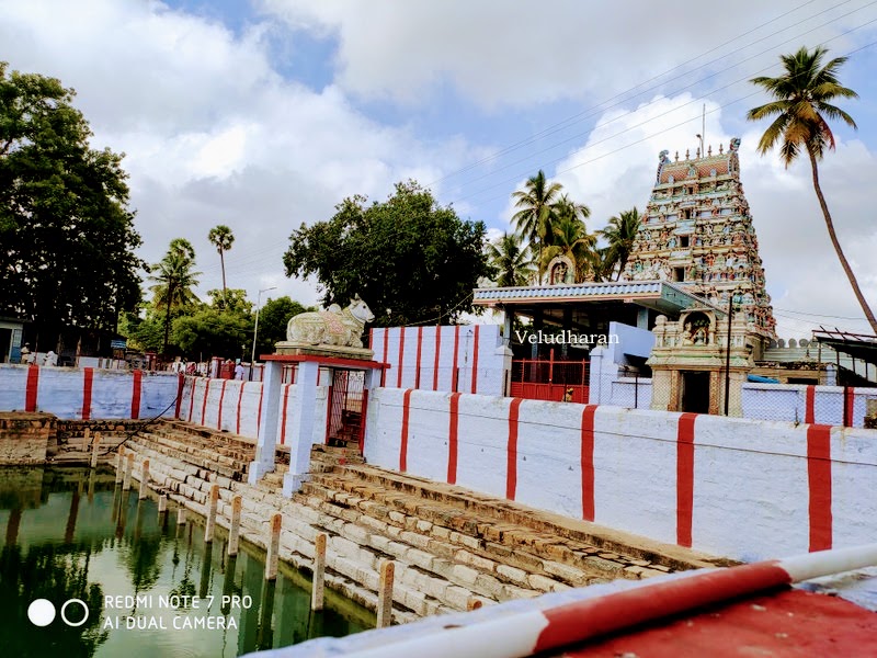 A Wandering Heritager: ARULMIGU AVINASHI LINGESHWARAR TEMPLE / SRI ...