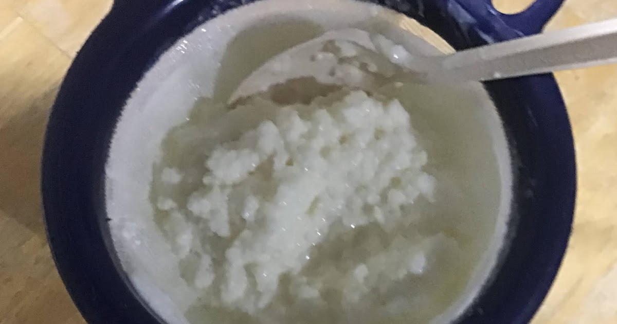 Kéfir o bulgaros de leche