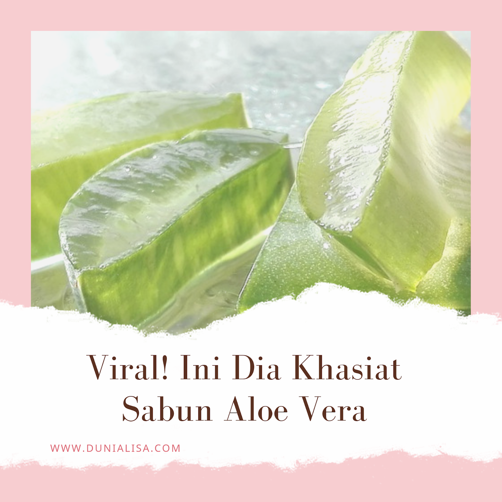 Viral! Ini Dia Khasiat Sabun Aloe Vera | Dunia Lisa
